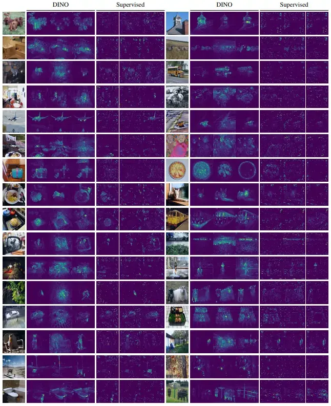 DINO：Self-Supervised Vision Transformer的新特性 - 知乎