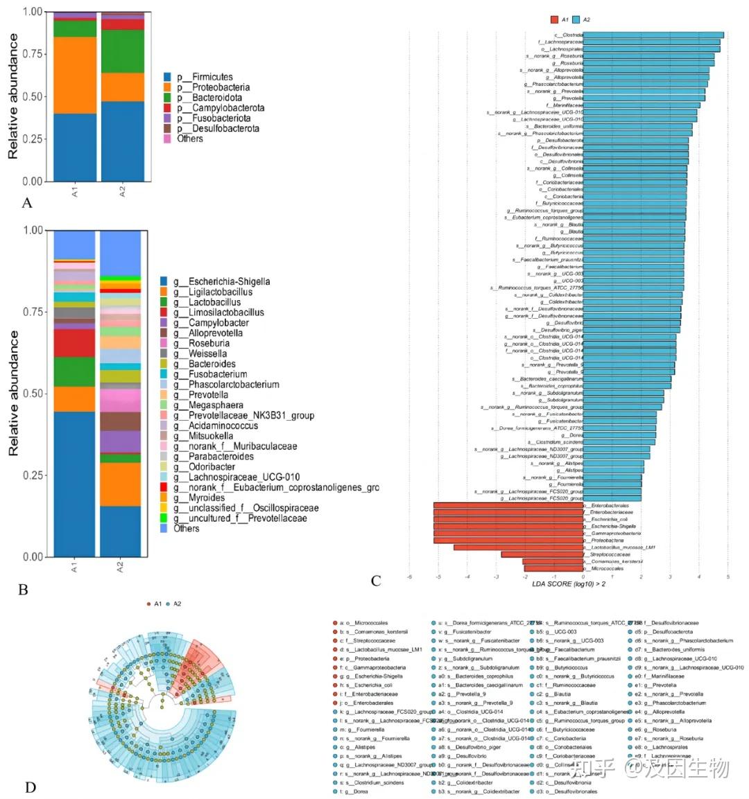项目文章丨16S＋代谢 联合揭示PDCoV感染导致仔猪肠道损伤的发病机制！ - 知乎