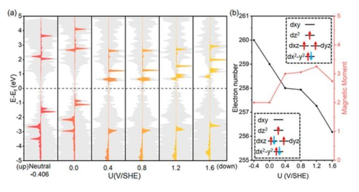 ACS Catalysis：Fe–N–C催化OER/ORR中自旋态演化的影响 - 知乎