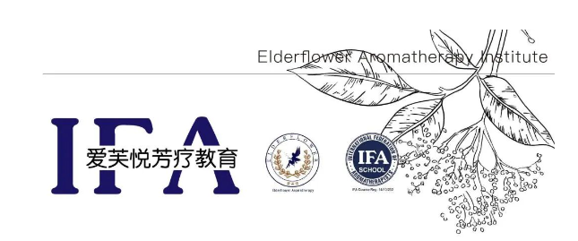 足不出户学芳疗,我如何顺利拿到IFA证书! - 知乎