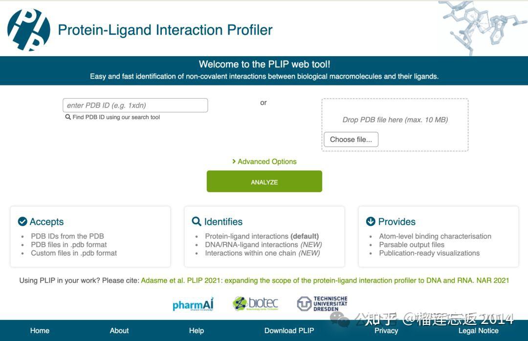 PLIP: 如何分析蛋白质和配体相互作用? - 知乎