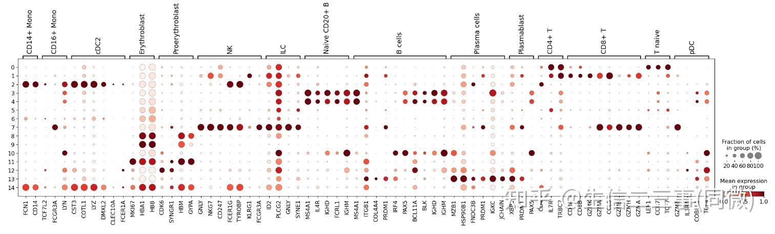 Scanpy教程学习笔记--基本流程 - 知乎