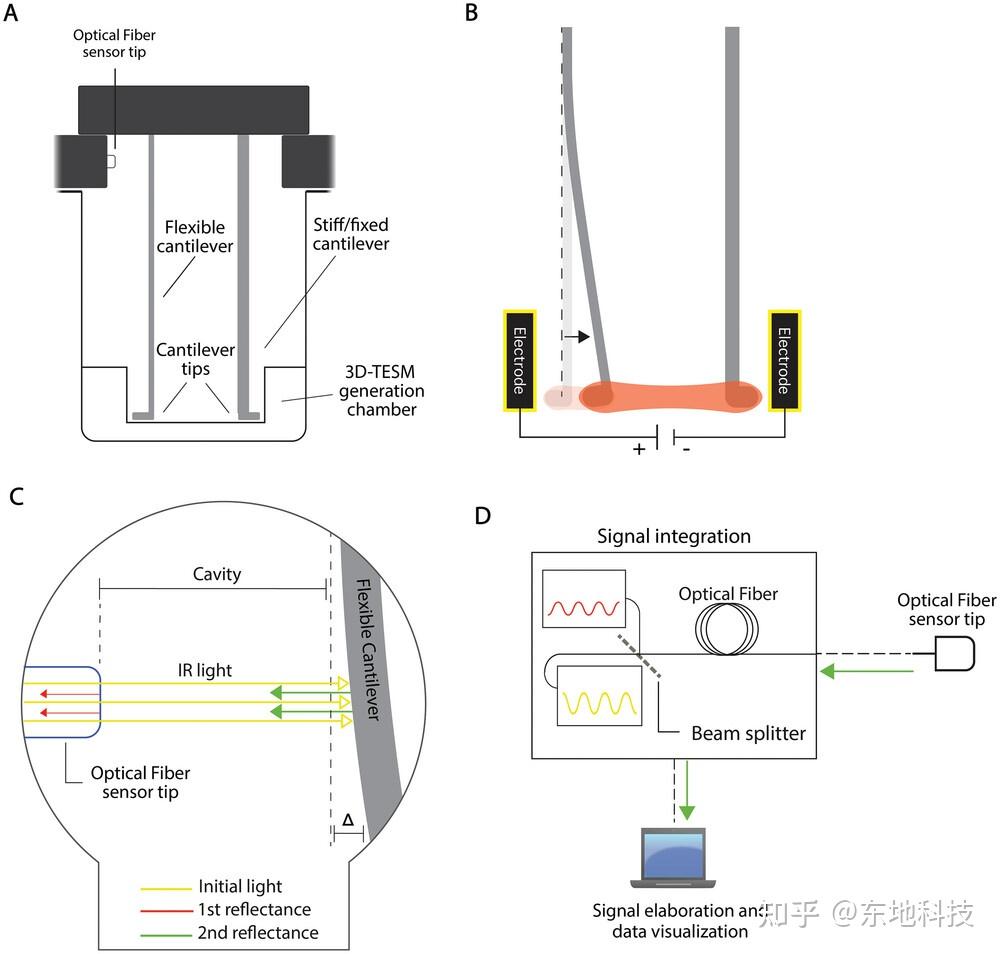 Optics11 Cuore测量骨骼肌的收缩力 - 知乎