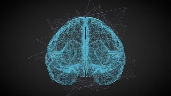 Memory Tagging Extension简介 - 知乎