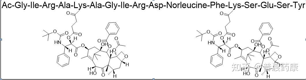 PDC药物研究最新进展 - 知乎