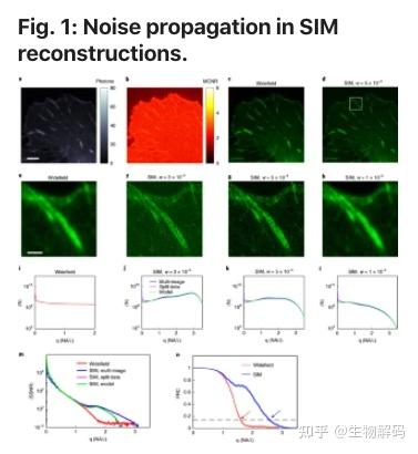 每日文摘 | 2021年06月16日 - 知乎