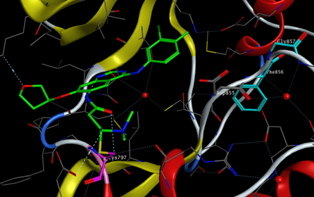 蛋白激酶DFG-in和DFG-out构象 - 知乎