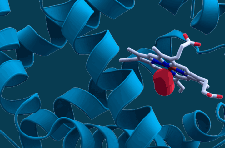 128张GPU炼出中国版AlphaFold2：训练代码全开源，打开浏览器就可体验，北大元培系AI公司打造 - 知乎