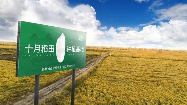 网红大米销售强劲 十月稻田借港交所收割 - 知乎