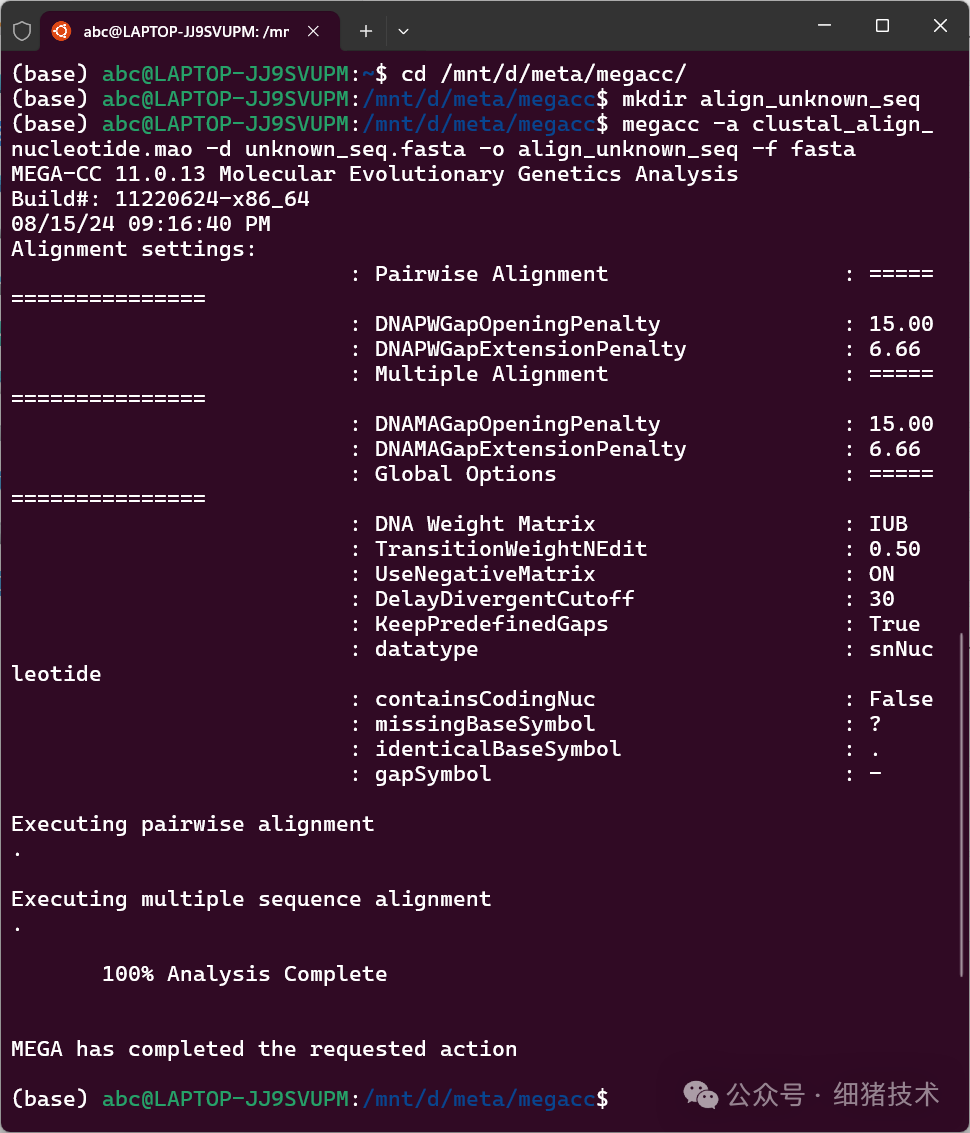 MEGA-CC程序使用方法 - 知乎