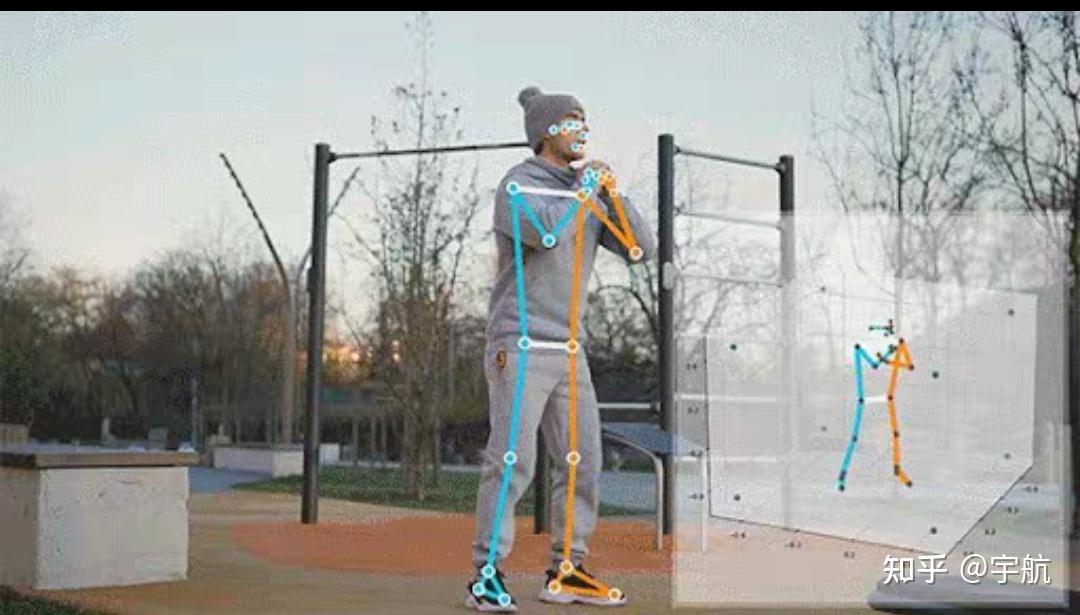 使用Mediapipe和OpenPose进行人体动作分析、计数以及3D姿态估计 - 知乎