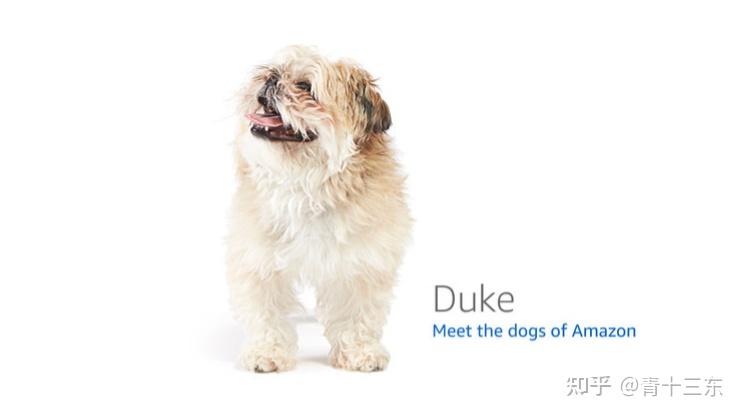【多图预警】亚马逊Listing变成的狗到底有多少只？ - 知乎