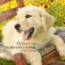 async-http-client使用示例 - 知乎