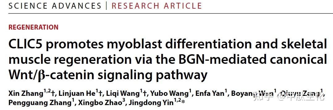 Sci Adv ：尹靖东团队揭示胞内氯离子通道CLIC5在促进骨骼肌发育和再生中的作用 - 知乎