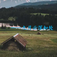 Ansys单元详解——BEAM188 - 知乎