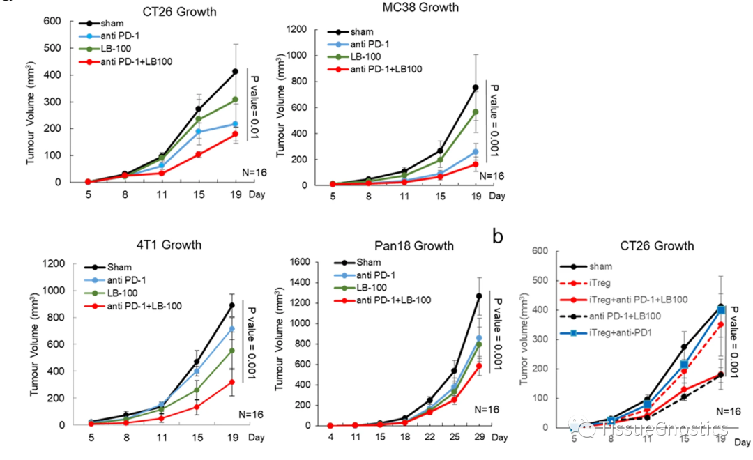 蛋白磷酸化是什么？蛋白磷酸化有哪些分类？ - 知乎