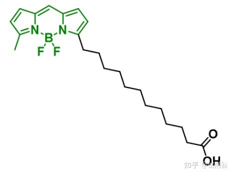 BODIPY 500/510 C1, C12，144672-74-2是一种荧光标记化合物 - 知乎