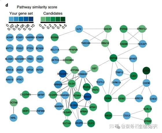 跟着Cell学作图 | PPI分析(GeNets数据库) - 知乎