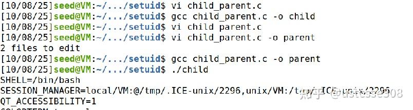 SEED Lab: environment variable and setuid - 知乎