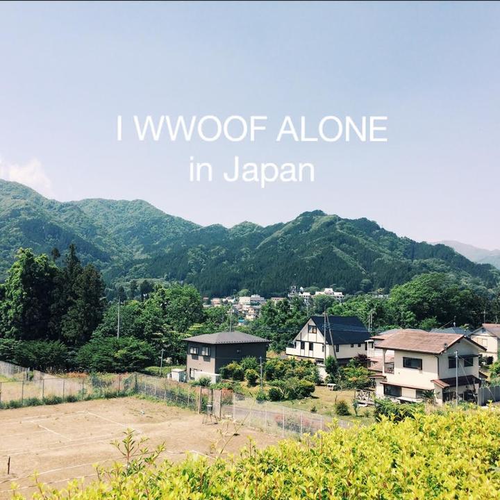 关于日本WWOOF的申请+独自旅行日本的安全性 - 知乎