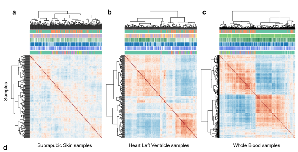 文献精读——Detection of aberrant splicing events in RNA-seq data using FRASER (2) - 知乎