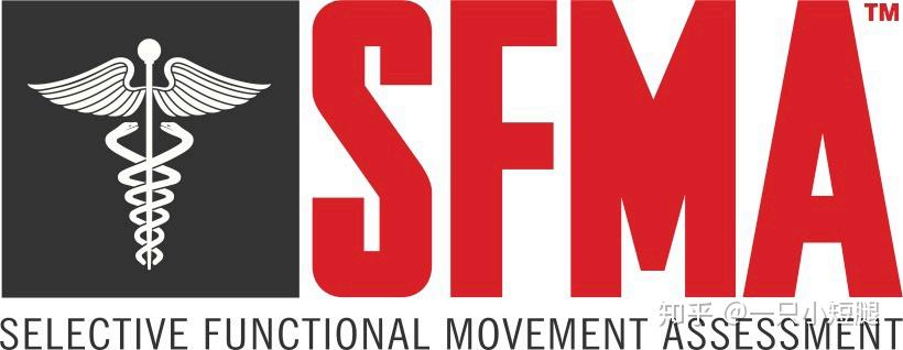 FMS、SFMA 功能性动作筛查如何自学考试？ - 知乎