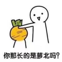 基于OPENSIM的预测性仿真研究软件——SCONE（1） - 知乎