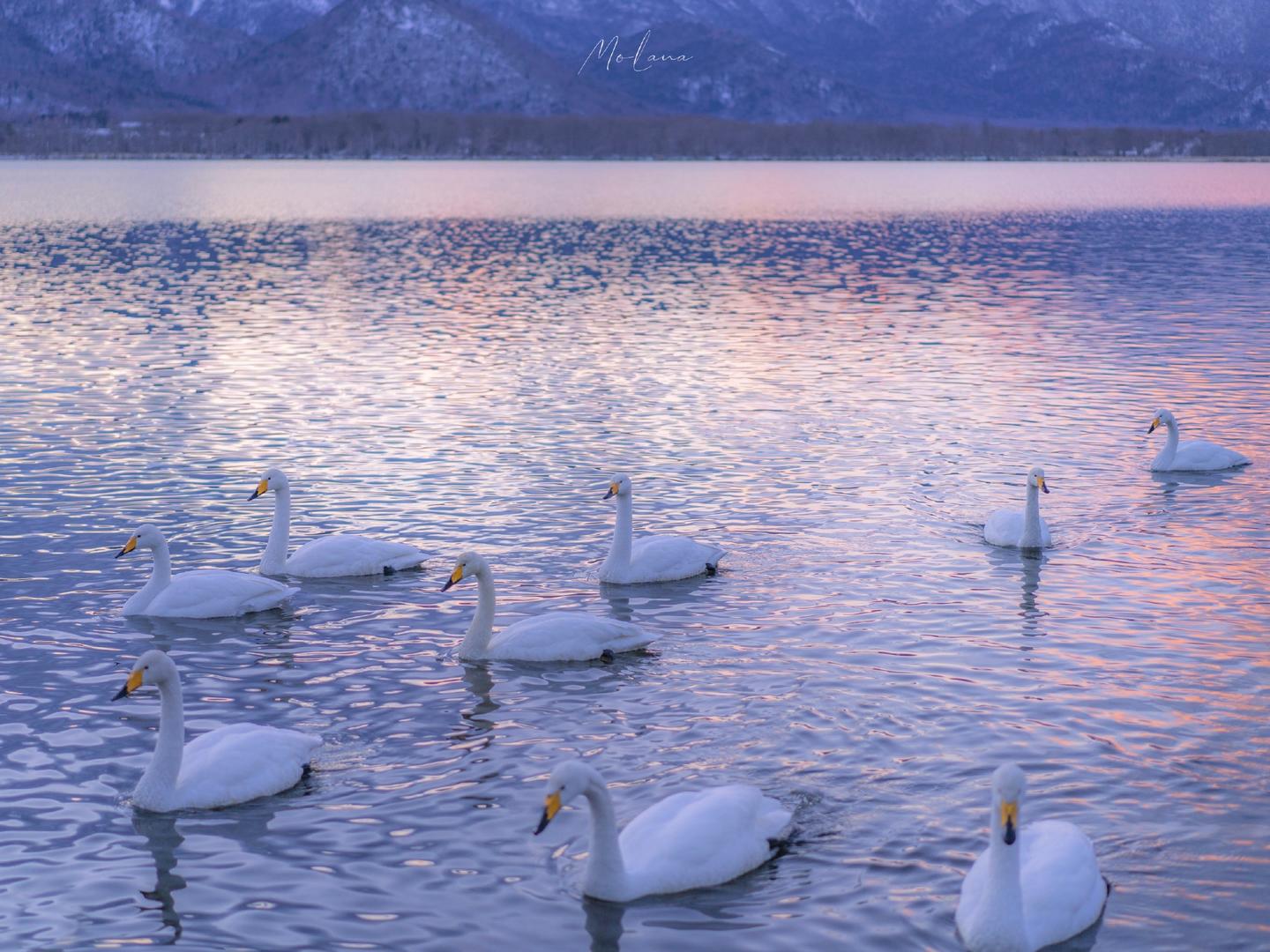 让人用了很久的电脑壁纸？ - 知乎