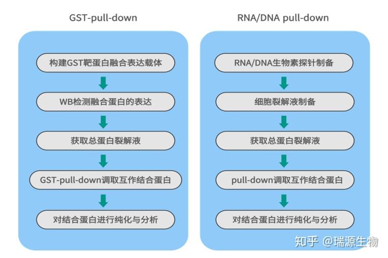 Pull down检测有什么优势？用Western Blot吗？ - 知乎
