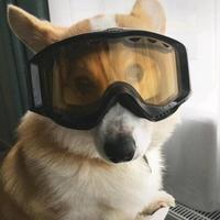 transformers——data collator - 知乎