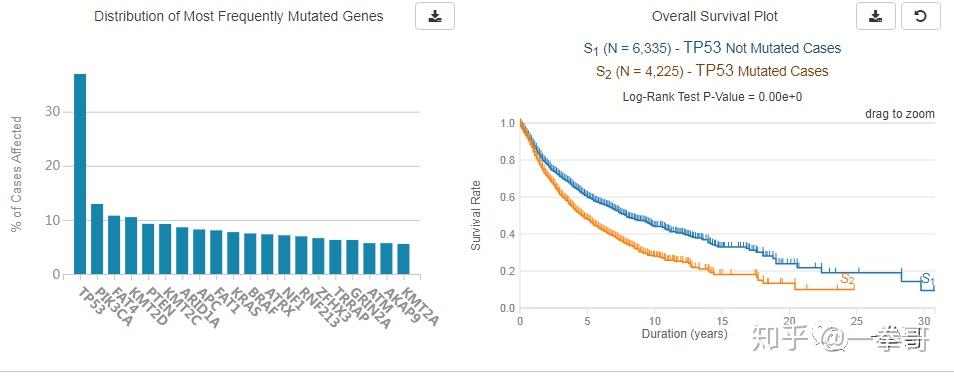 从故纸堆找到的新发现克服TP53 R175H的药物 - 知乎