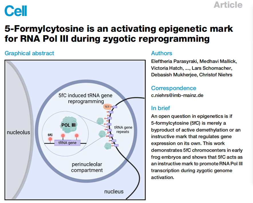 5fC DNA甲酰基胞嘧啶测序 - 知乎