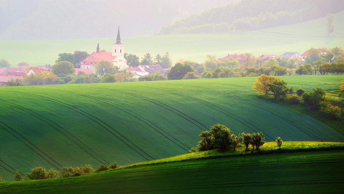 MemoQ各种怪异问题一招解决 - 知乎