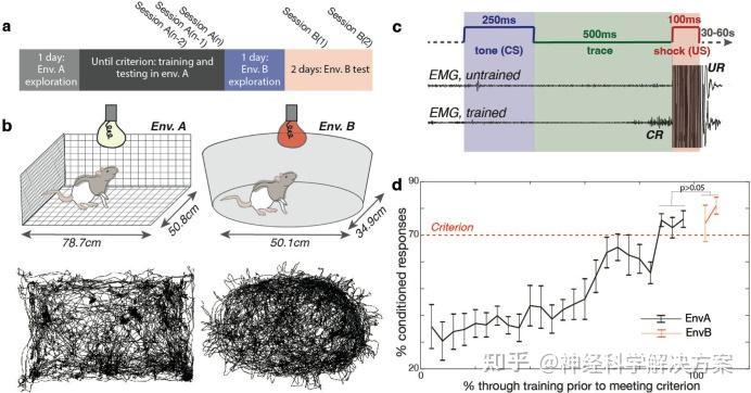 怎样使用MATLAB分析双光子钙成像suite2p的结果 ？ - 知乎