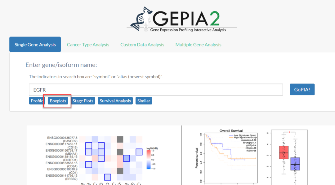 GEPIA2—绘制基因在不同分子分型中的表达量箱型图 - 知乎