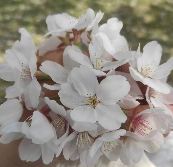 Matlab编程--spdiags函数--稀疏对角矩阵的构建 - 知乎