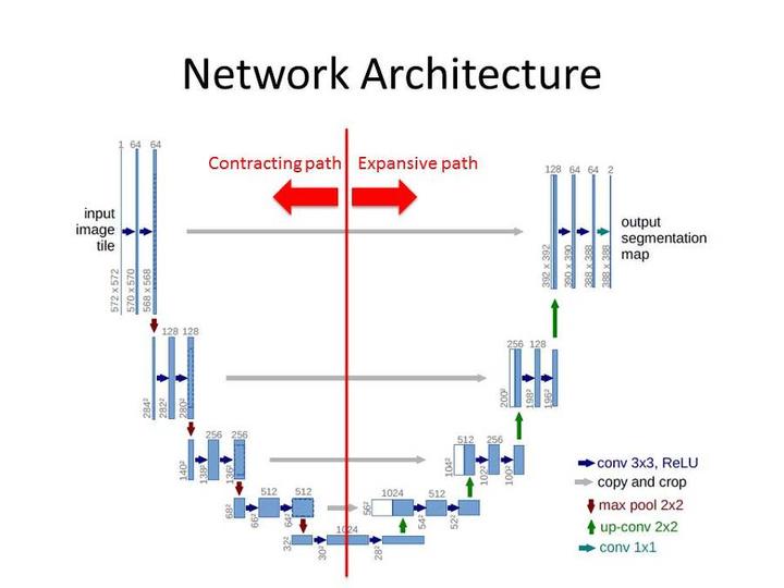 explain fully convolutional network and Unet - 知乎