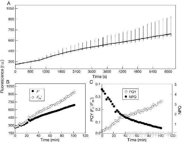 AquaPen藻类叶绿素荧光测量仪 - 知乎