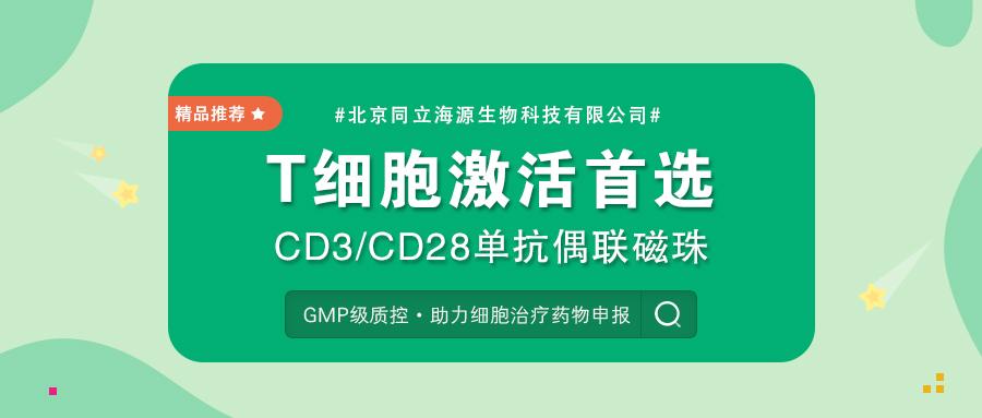 T细胞激活首选——CD3/CD28单抗偶联磁珠 - 知乎