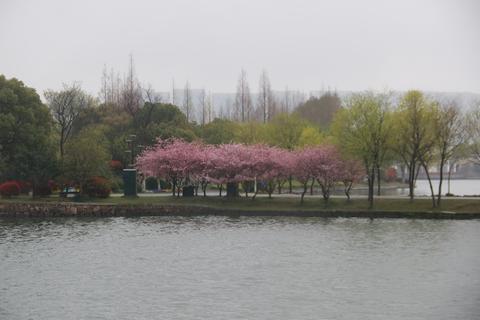 LLM(18)：LLM 的推理优化技术纵览 - 知乎