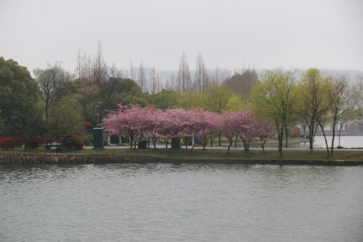 LLM(12)：DeepSpeed Inference 在 LLM 推理上的优化探究 - 知乎