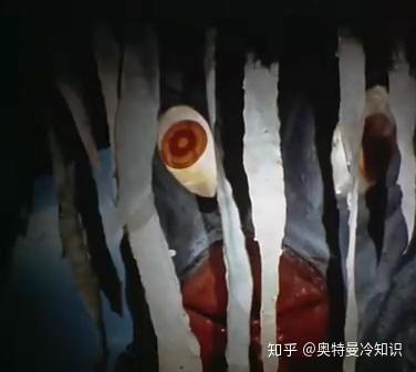 奥特曼大百科之杰克奥特曼怪兽篇二 - 知乎