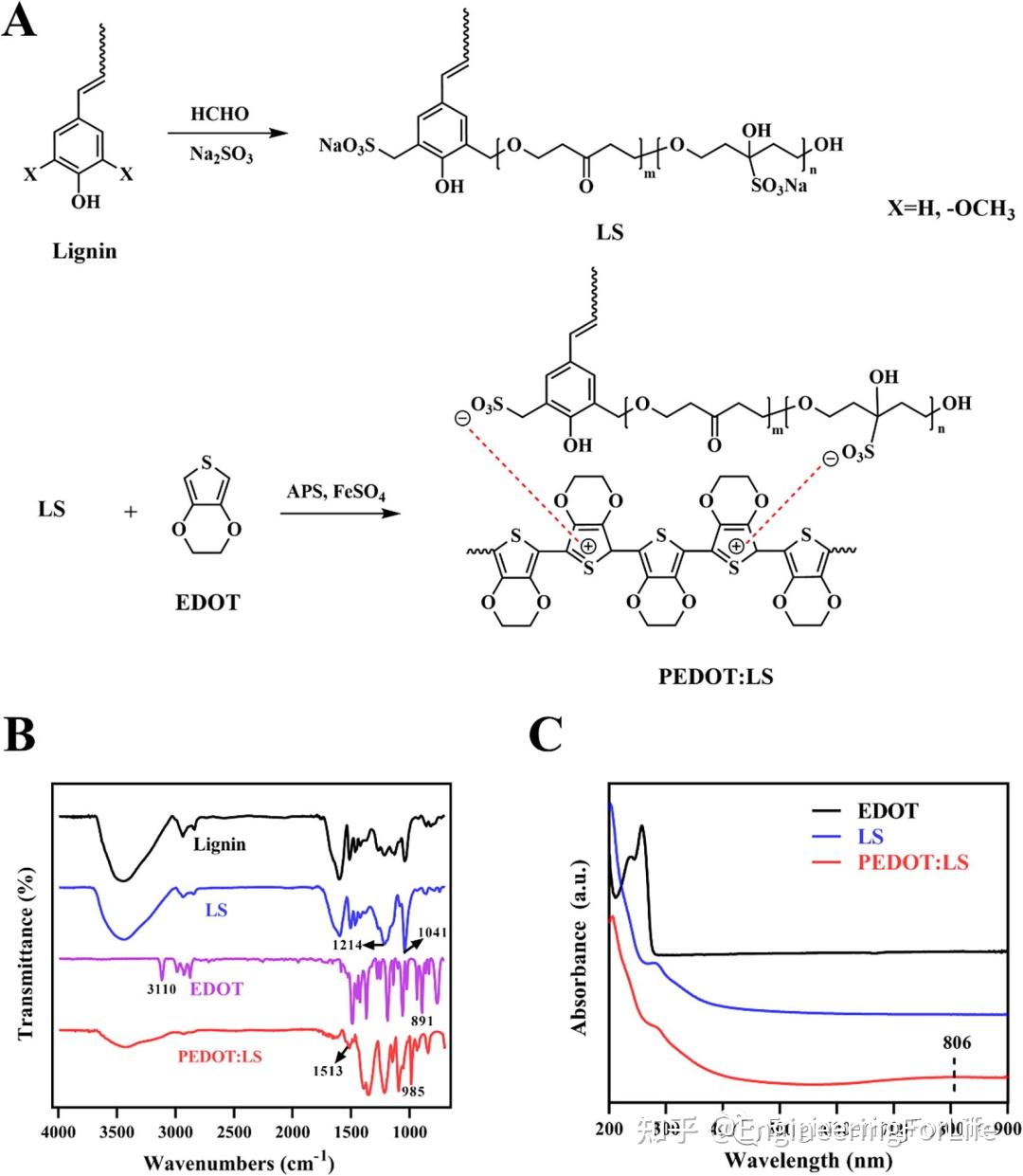 《Chem. Eng. J.》：3D打印导电脊髓仿生支架--促进神经干细胞神经元分化和脊髓修复 - 知乎