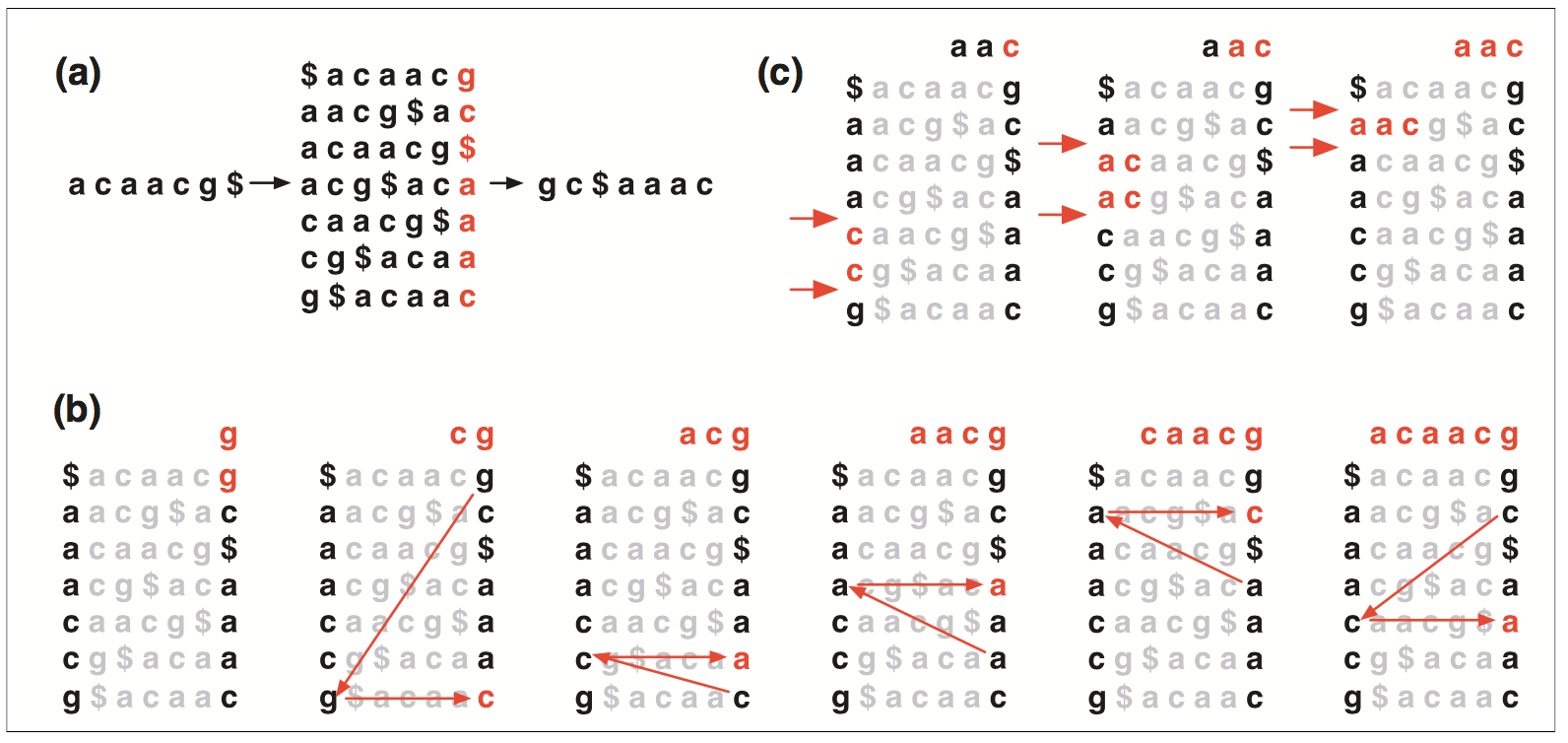 踏踏实实做技术：BWA，Bowtie，Bowtie2的比对算法推导 - 知乎