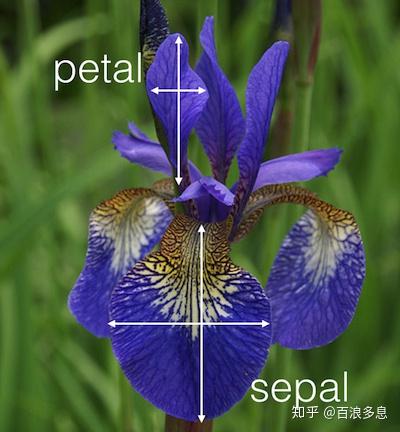从iris数据集入门scikit-learn - 知乎