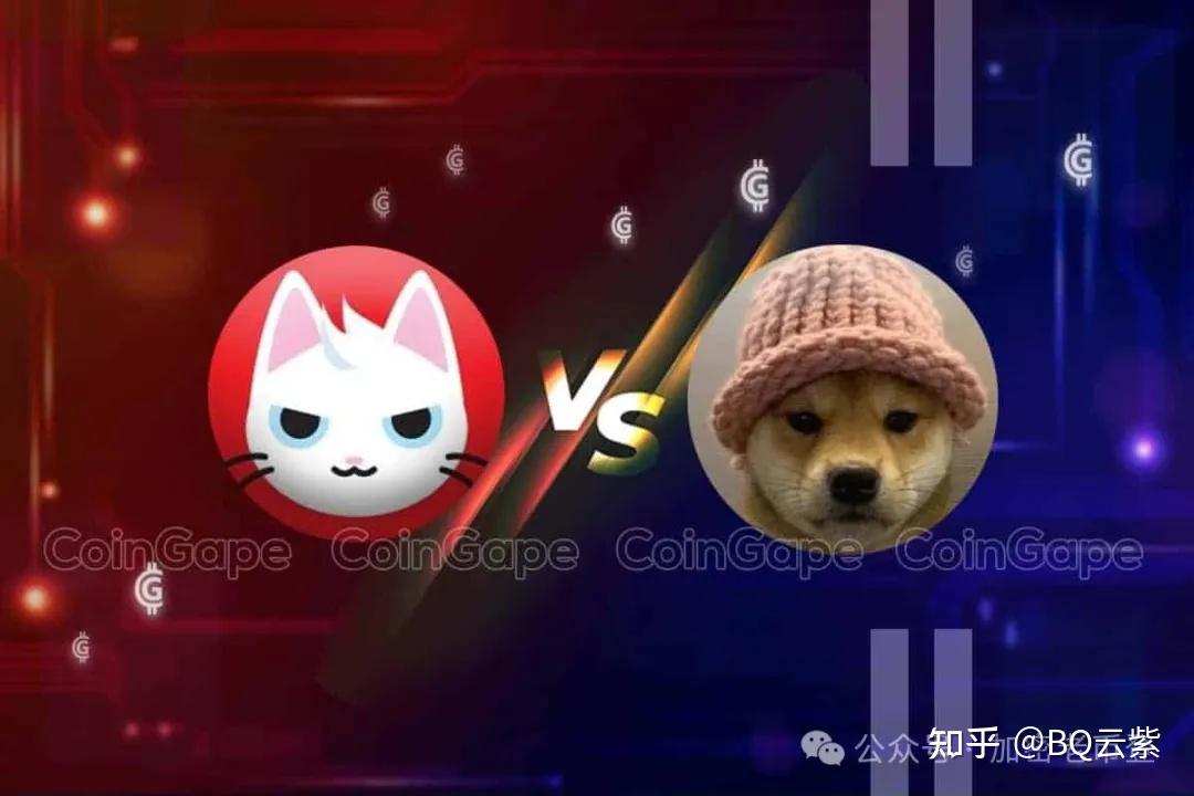 Solana Meme Coin MEW 正式上市，价格暴涨？ - 知乎