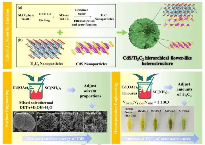 Angew.：CdS/Ti3C2 MXene肖特基结，高选择性活性光催化！ - 知乎