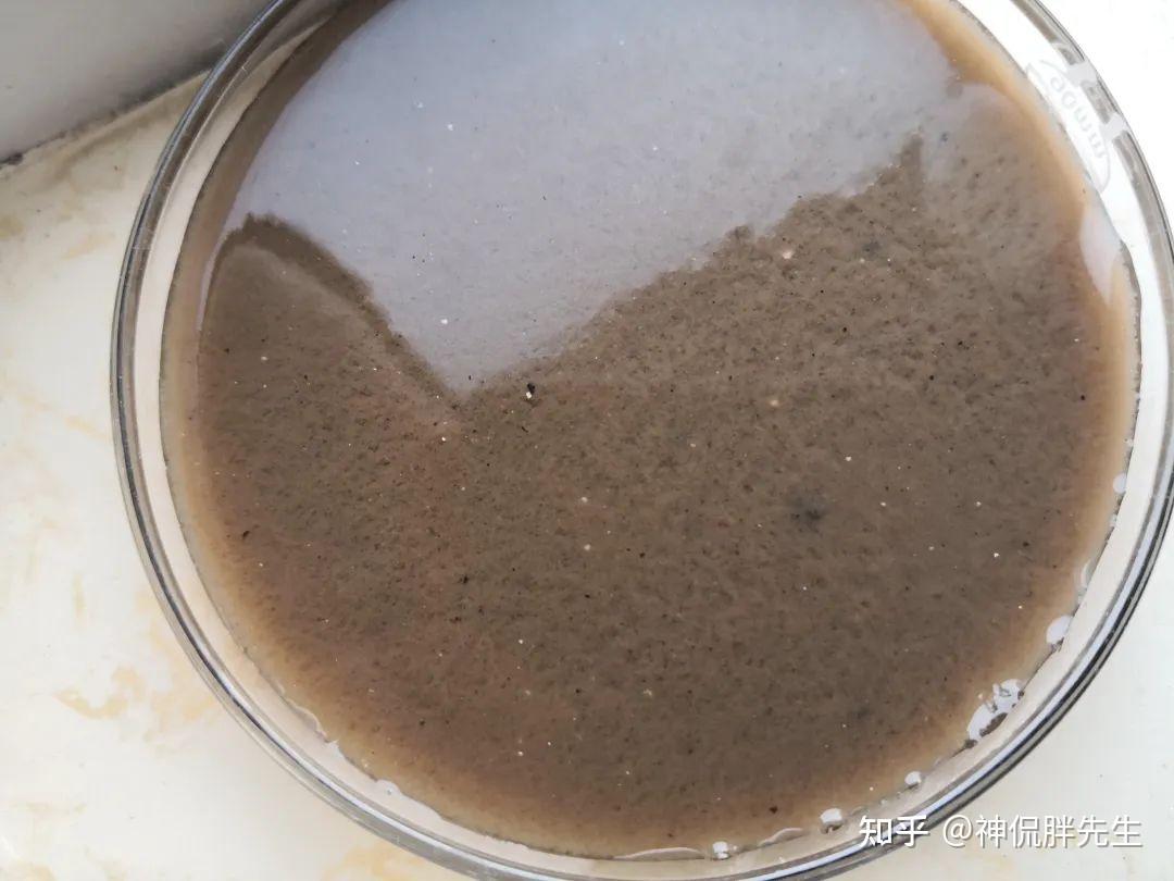 SV30都90了，活性污泥该咋整？ - 知乎