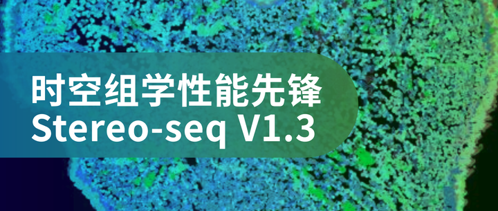 给细胞装上GPS！Stereo-seq V1.3带你破解生命运行的"时空密码" - 知乎