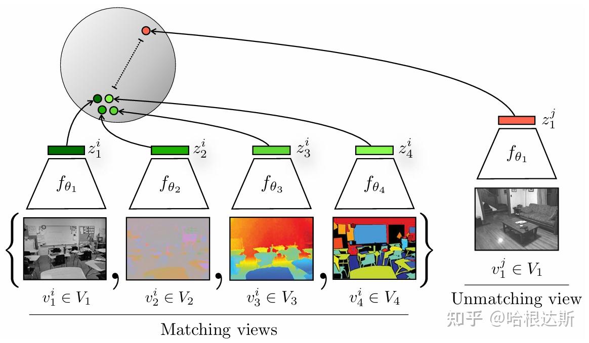 一文贯通图像对比学习技术——从InstDisc、MoCo、SimCLR到DINO系列 - 知乎